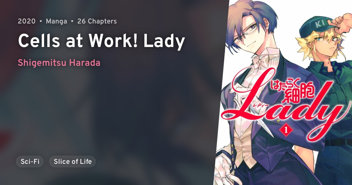 Hataraku Saibou LADY (Cells at Work! Lady) · AniList