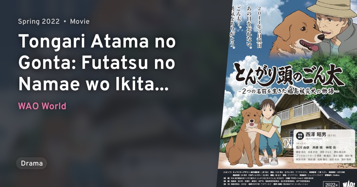 Tongari Atama no Gonta: Futatsu no Namae wo Ikita Fukushima Hisai Inu ...