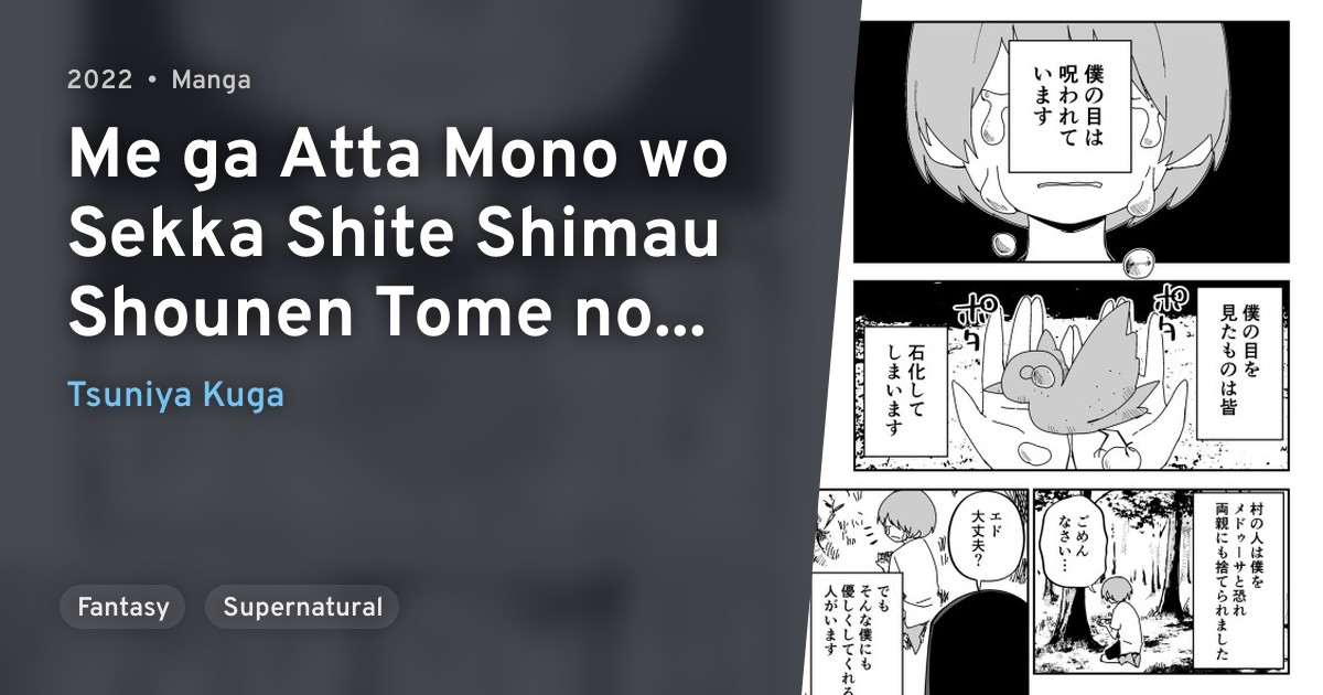 Me ga Atta Mono wo Sekka Shite Shimau Shounen Tome no Mienai Seijo no ...