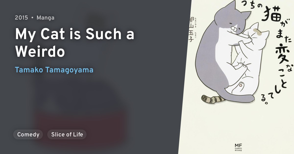 Uchi no Neko ga Mata Henna Koto Shiteru. (My Cat is Such a Weirdo) · AniList