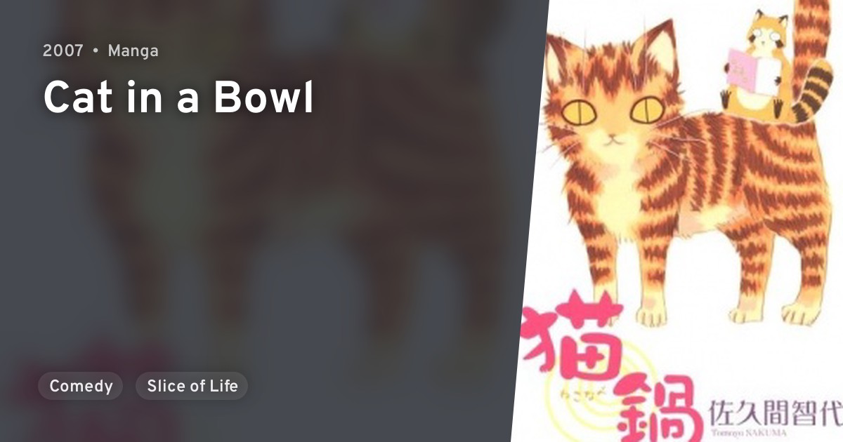 Neko Nabe (Cat in a Bowl) · AniList