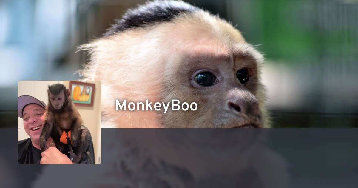 MonkeyBoo's profile · AniList